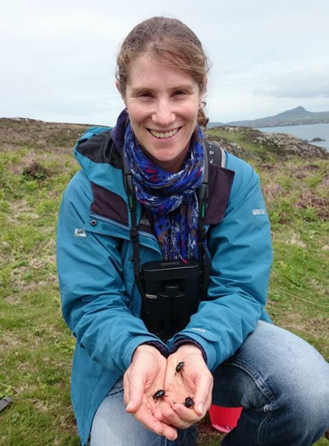 About - Dung Beetles for Farmers